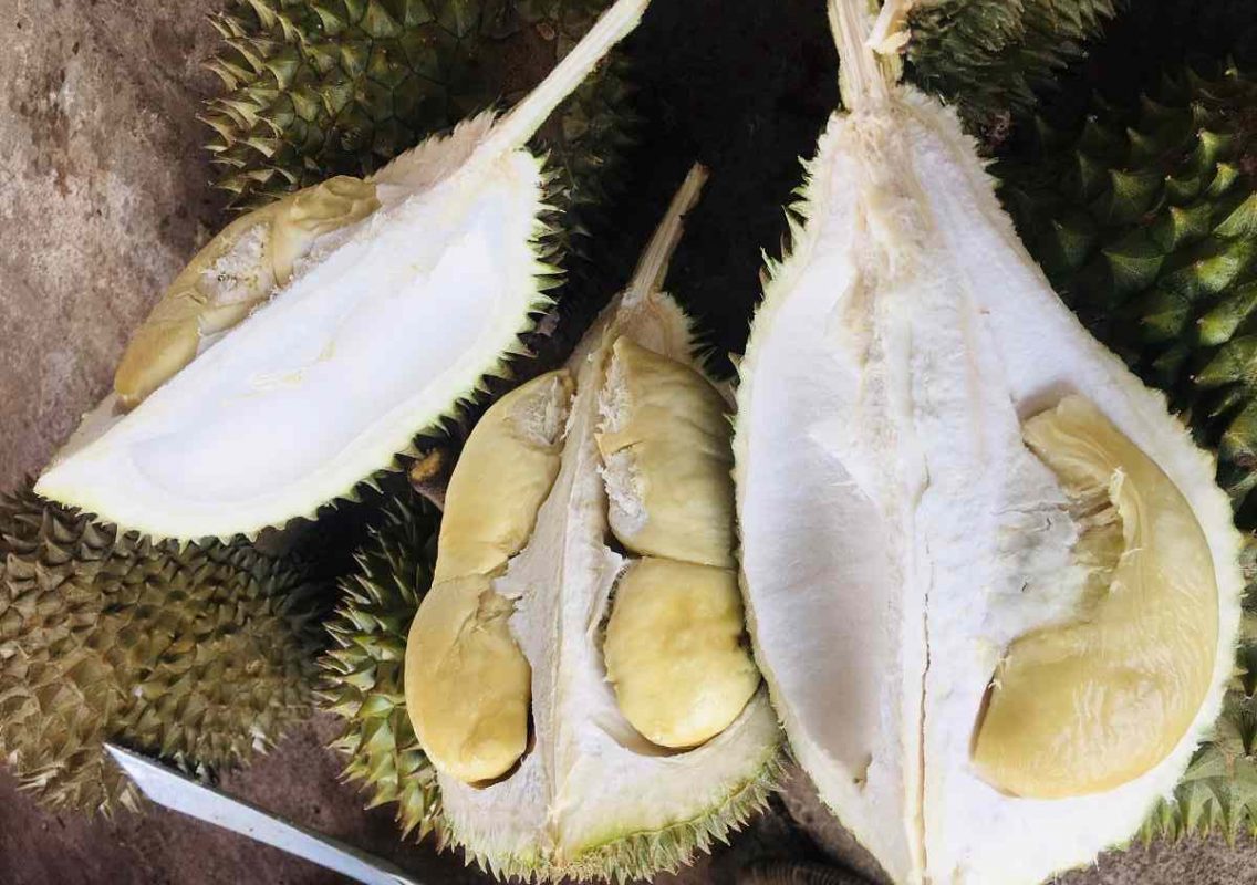 Các món ngon làm từ sầu riêng - Navi Fruit